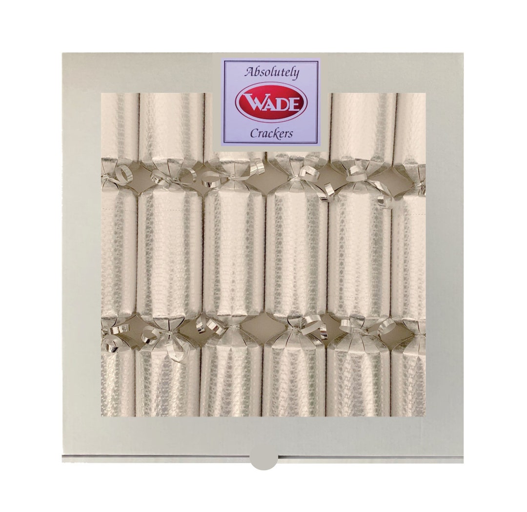 6 Absolutely Wade Bird Party/christmas Crackers Silver - Etsy