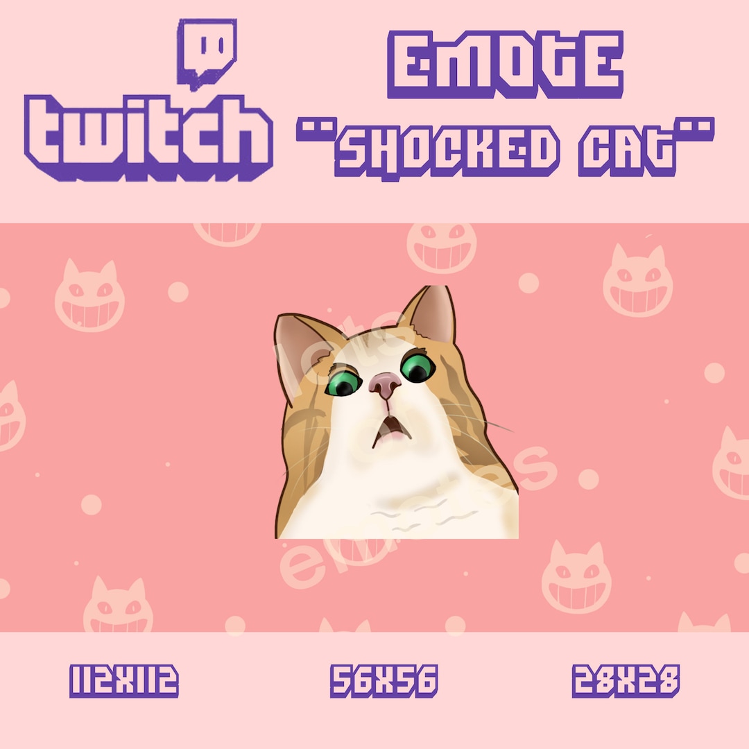 Shocked Cat Surprised Cat Twitch Emote - Etsy