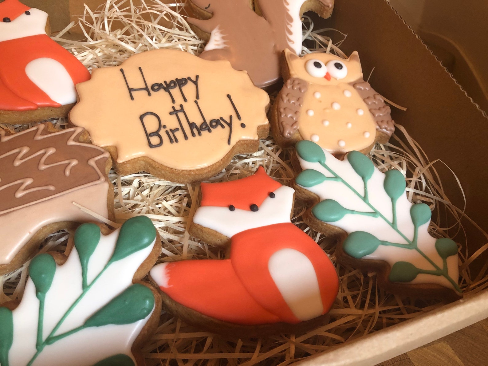 Wildlife Animal Cookie Box Made to Order Gift Iced - Etsy UK