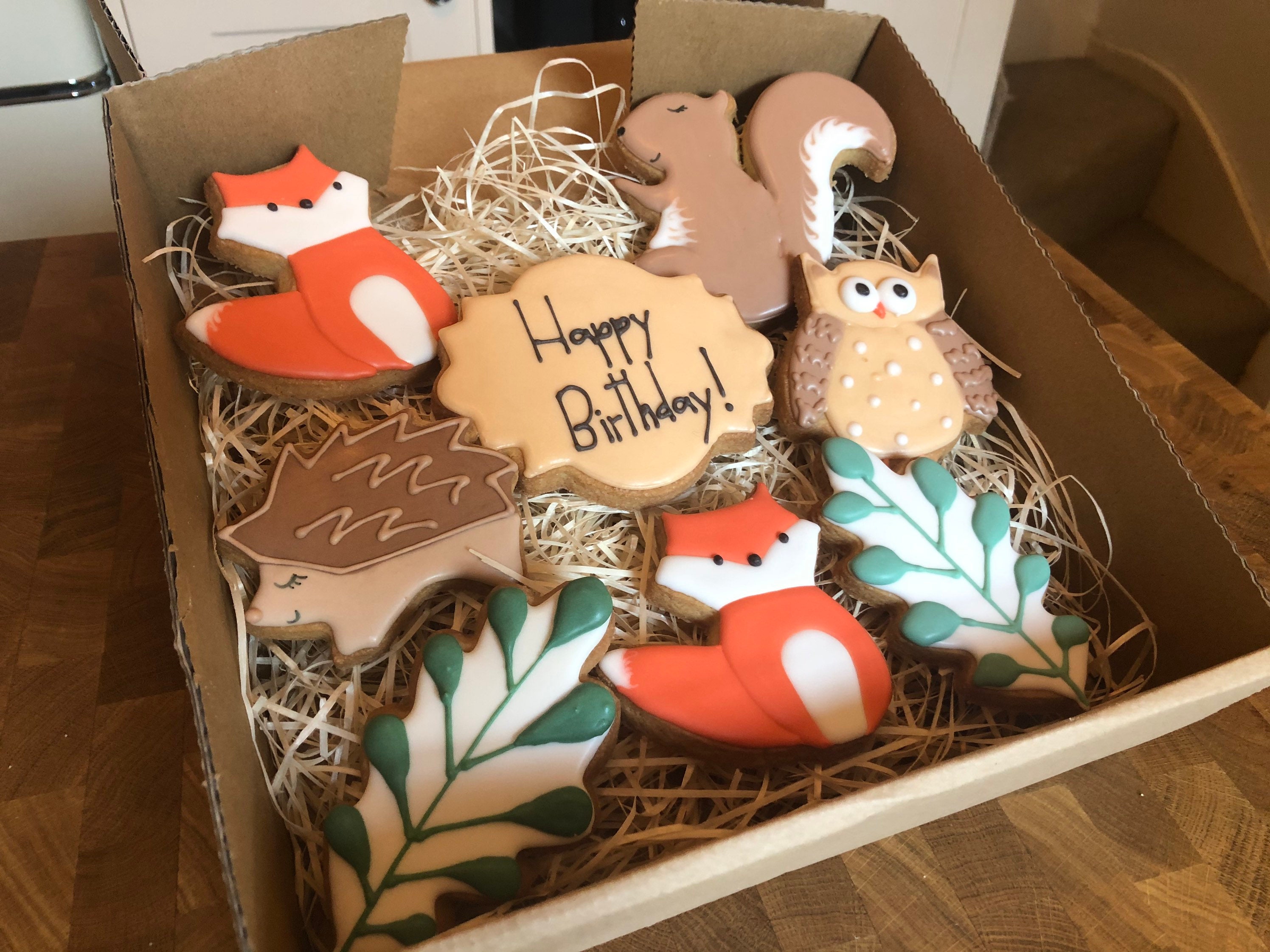 Wildlife Animal Cookie Box Made to Order Gift Iced - Etsy UK