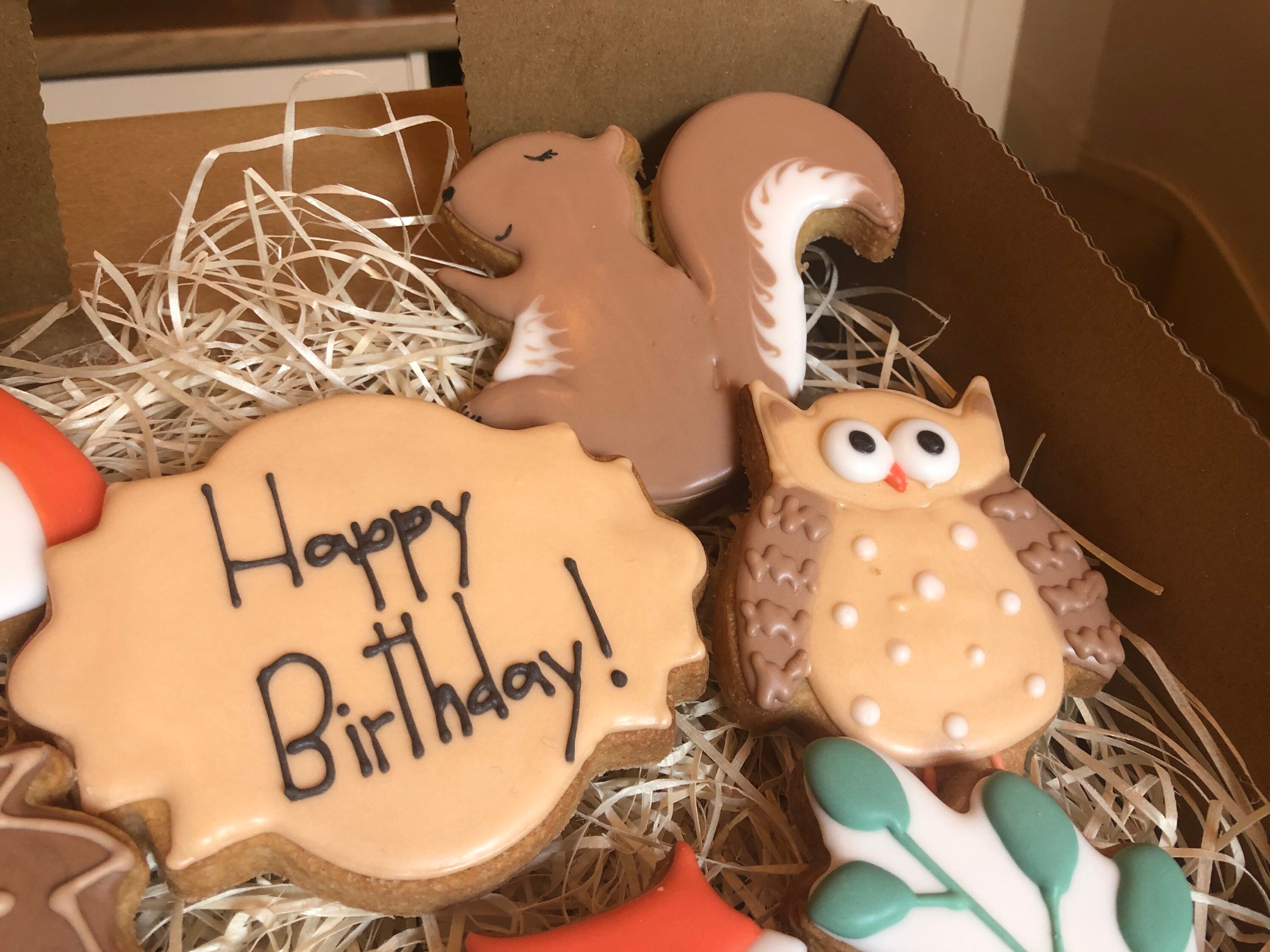 Wildlife Animal Cookie Box Made to Order Gift Iced | Etsy UK