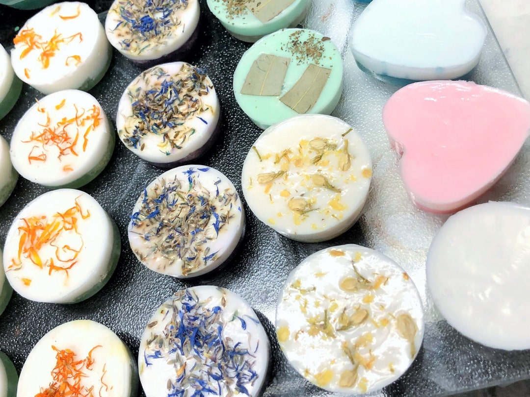 BULK Loofah Soaps Loofah Soap Gift Christmas Gift Gift for Coworkers ...