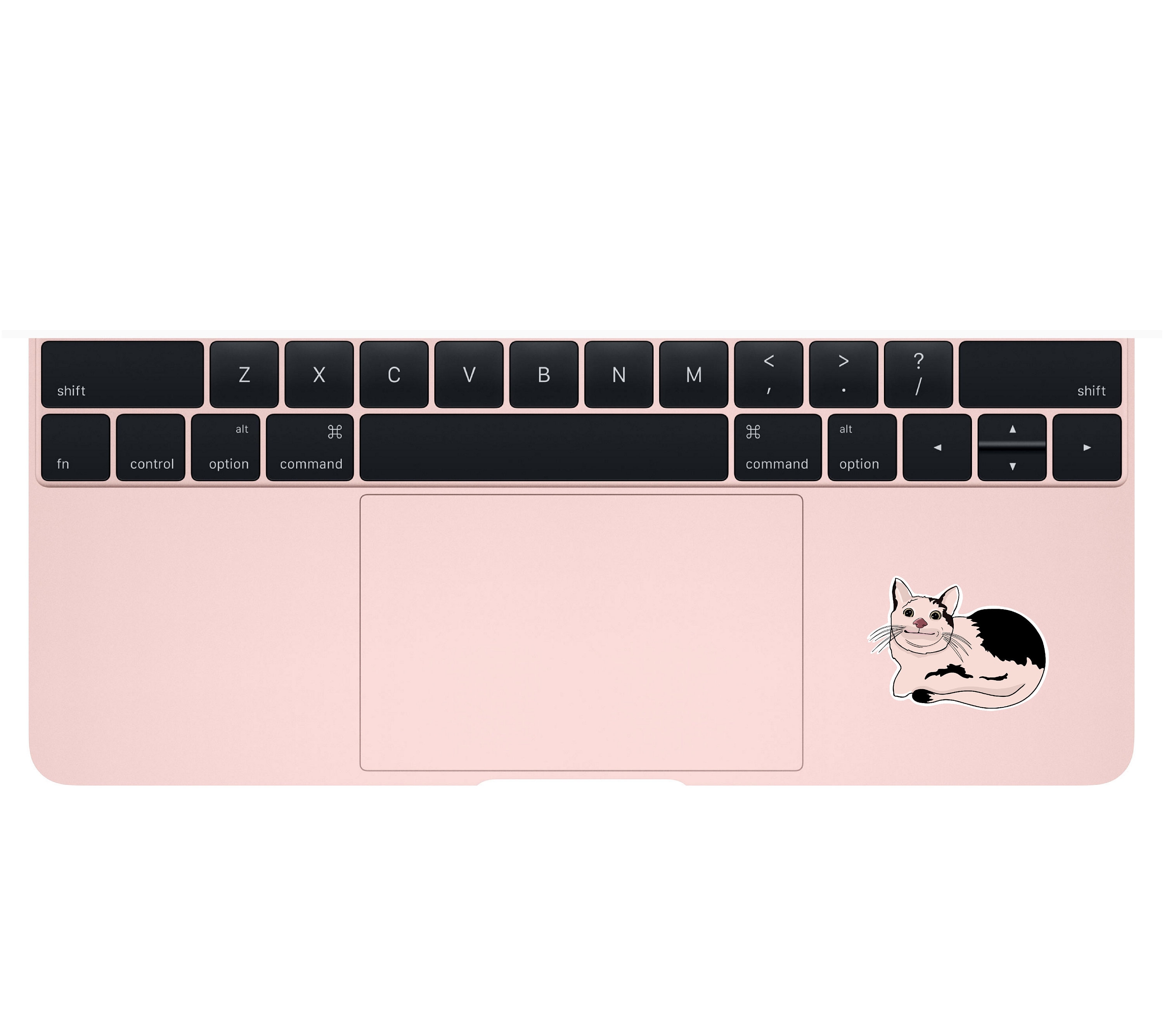 Awkward Cat Meme Vinyl Sticker Cute Laptop Stickers Journal Stickers ...