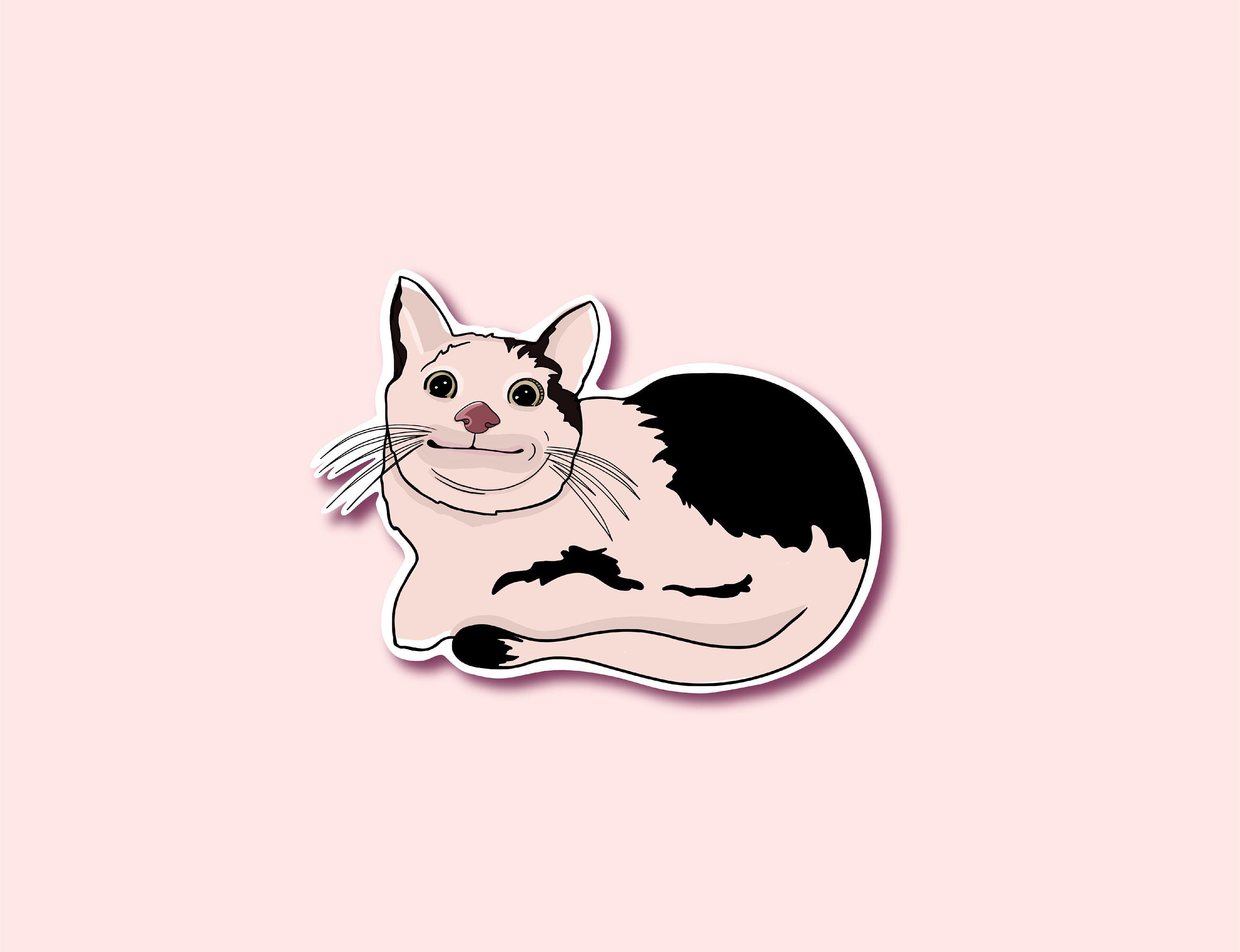 Awkward Cat Meme Vinyl Sticker Cute Laptop Stickers Journal Stickers ...