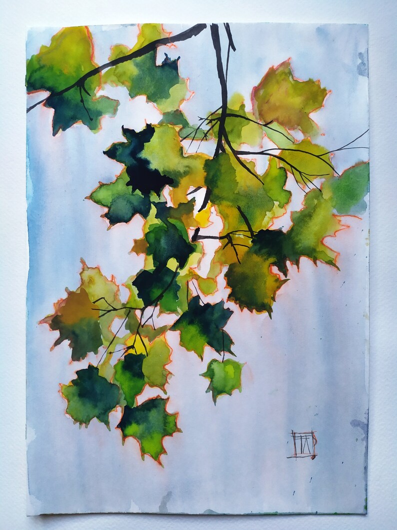 Contemporary botanical art by Catalina watercolor and ink drawing of ...