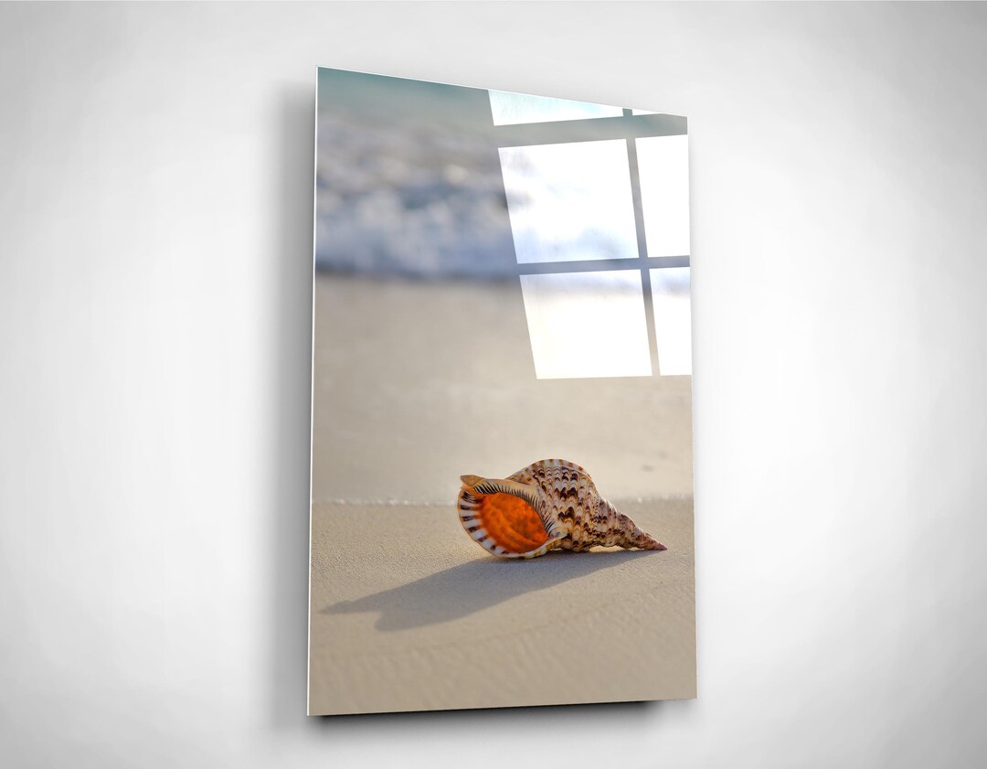 Conch Shell Wall Art Seashells Glass Canvas Print Nautical - Etsy