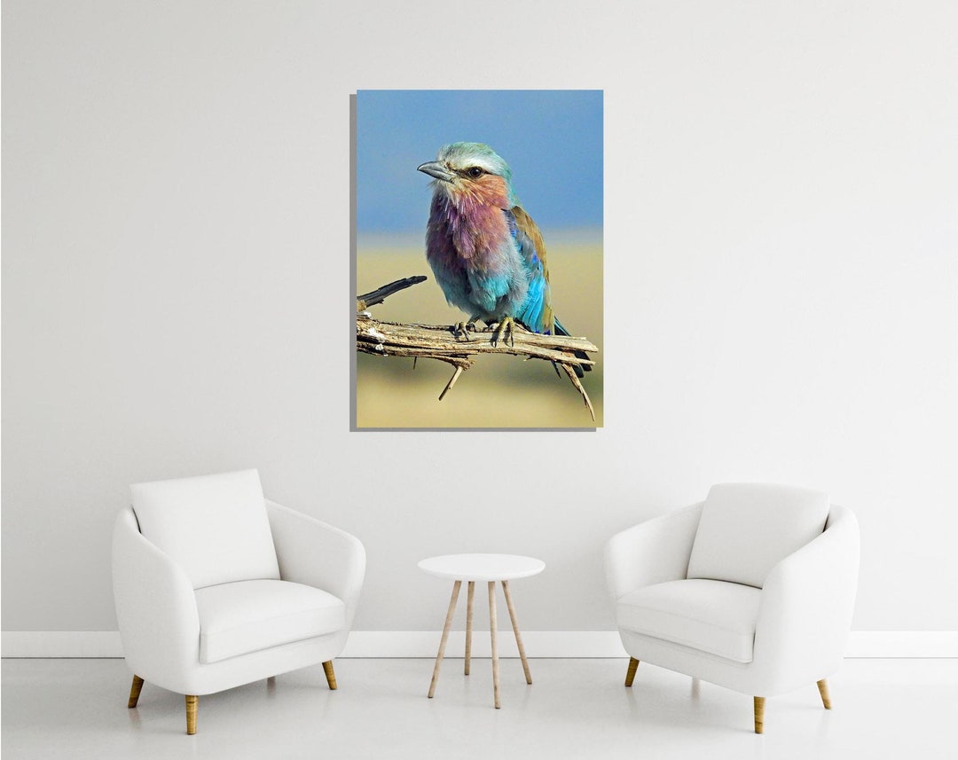 Wild Tropical Bird Wall Art, Rainforest Wildlife Glass Print, Exotic ...