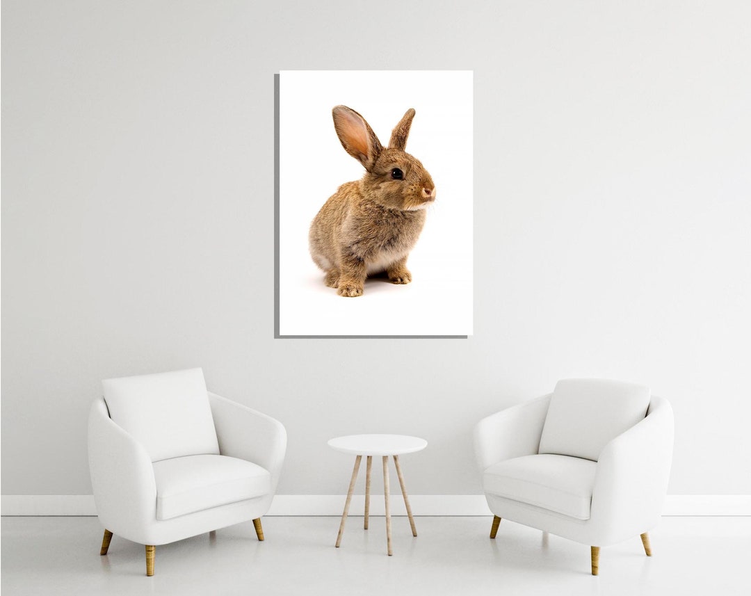 Cute Rabbit Wall Art Woodland Animal Nursery Decor Forest - Etsy