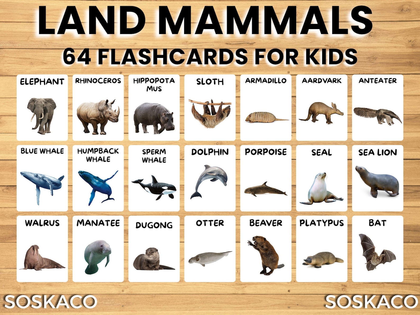 Mammals Flashcards for Kids, Mammal Animal, Realistic Animal, Printable ...