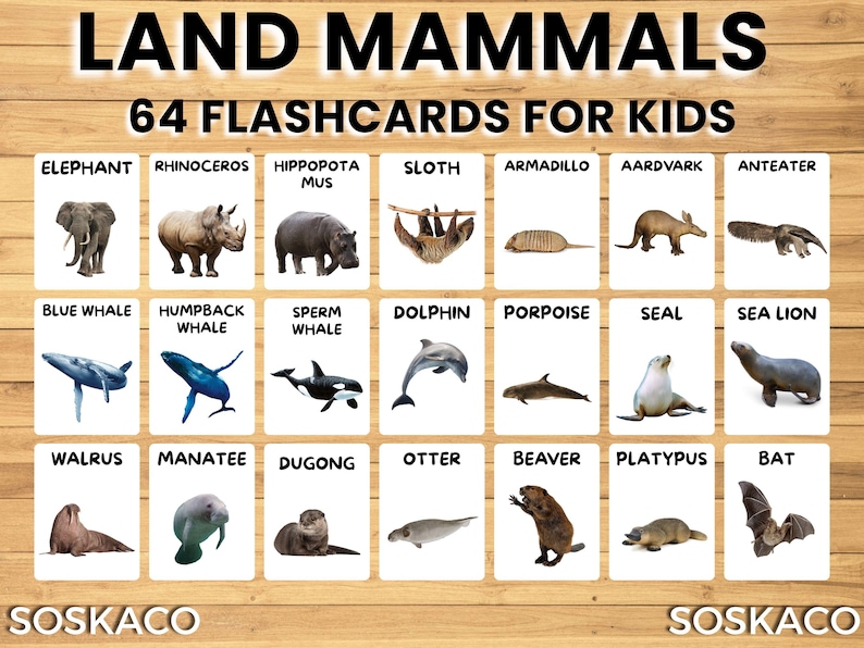 Printable Animal Flashcards for Kids – Realistic Mammal Learning Cards ...