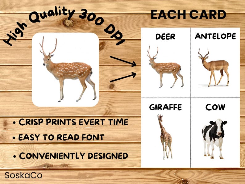 Mammals Flashcards for Kids, Mammal Animal, Realistic Animal, Printable ...