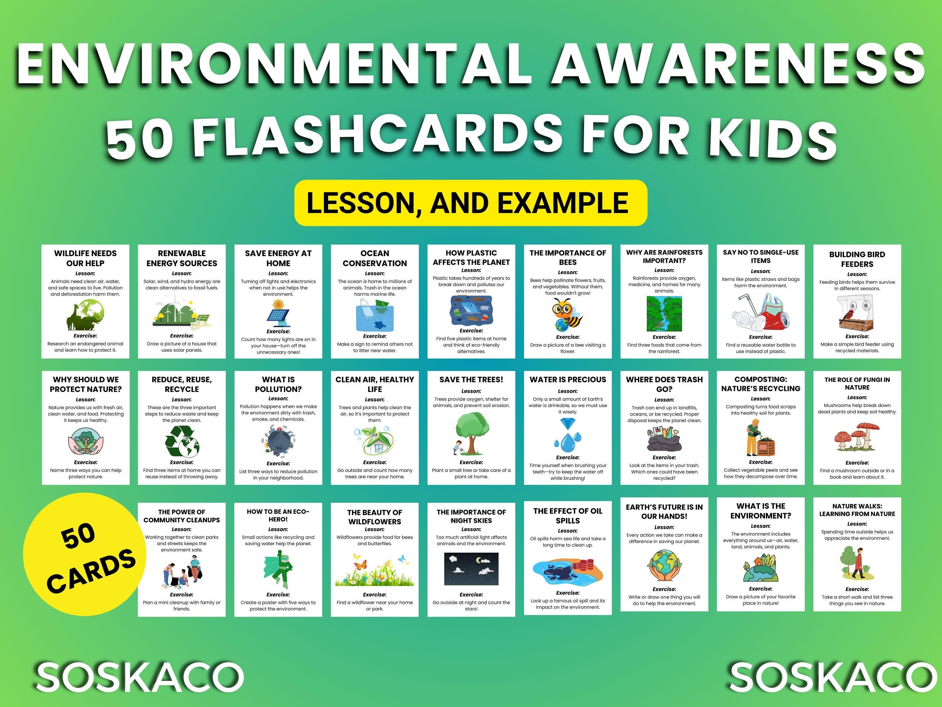Environmental Awareness Flashcards, Sustainability Learning for Kids ...
