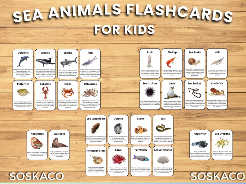 Sea Animal Flashcards, OCEAN ANIMALS Card, Printable Montessori ...