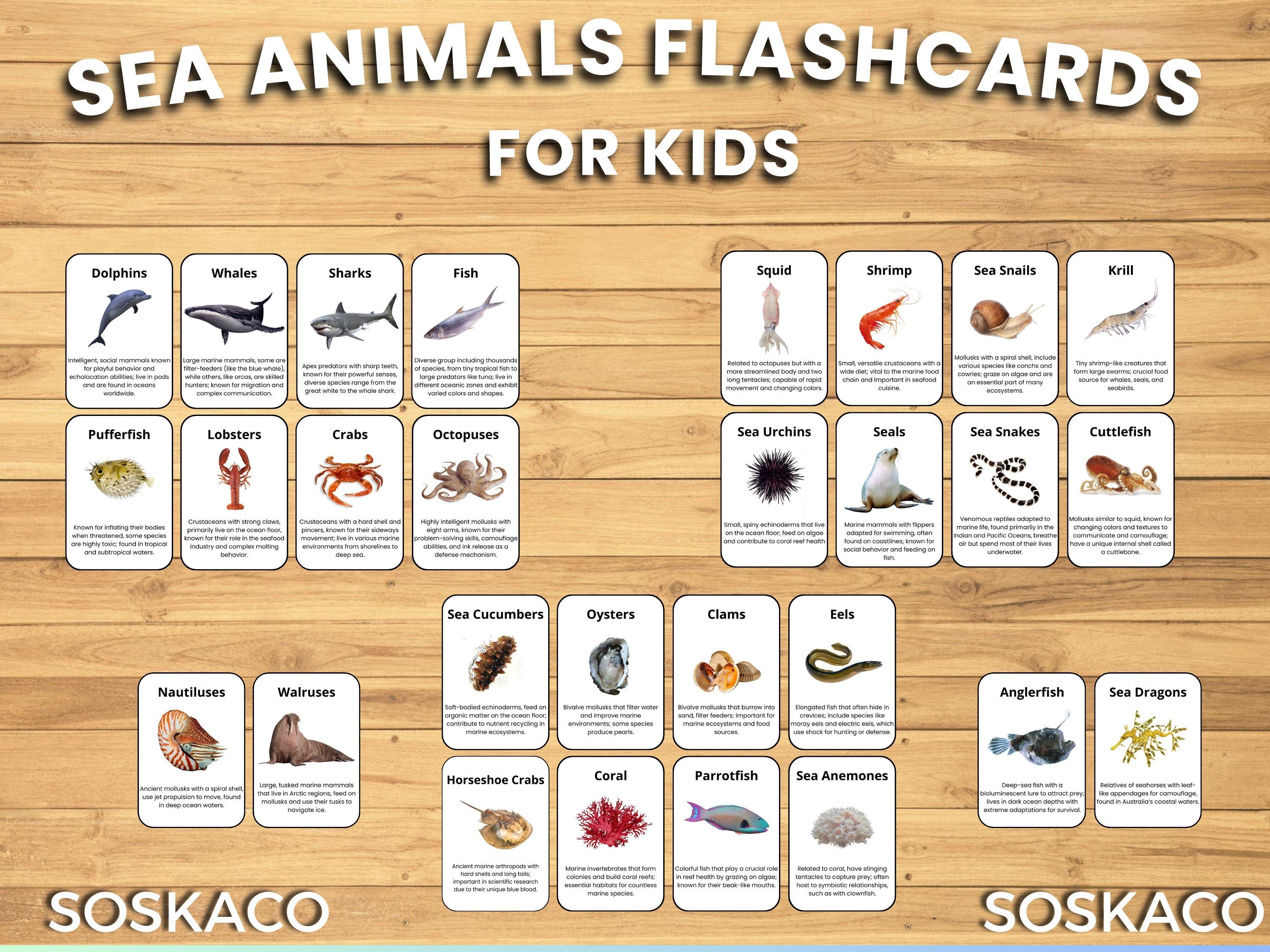 Ocean Animal Flashcards, Montessori Ocean Animals Learning Printable ...