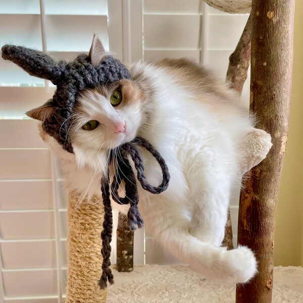 Shark Cat Costume - Etsy