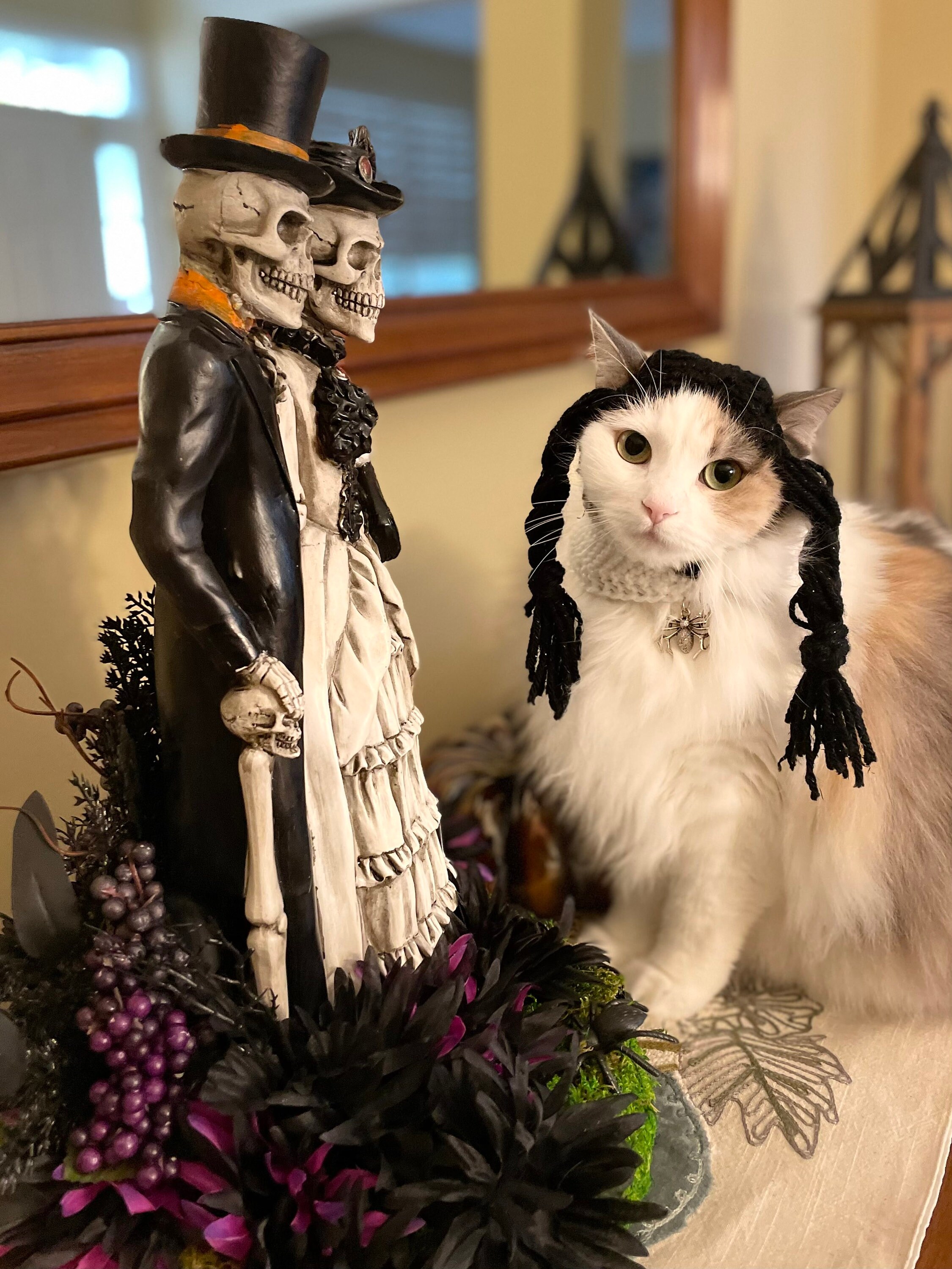 The Goth Daughter Hand Knit Halloween Black Pigtail Wig and Spooky ...