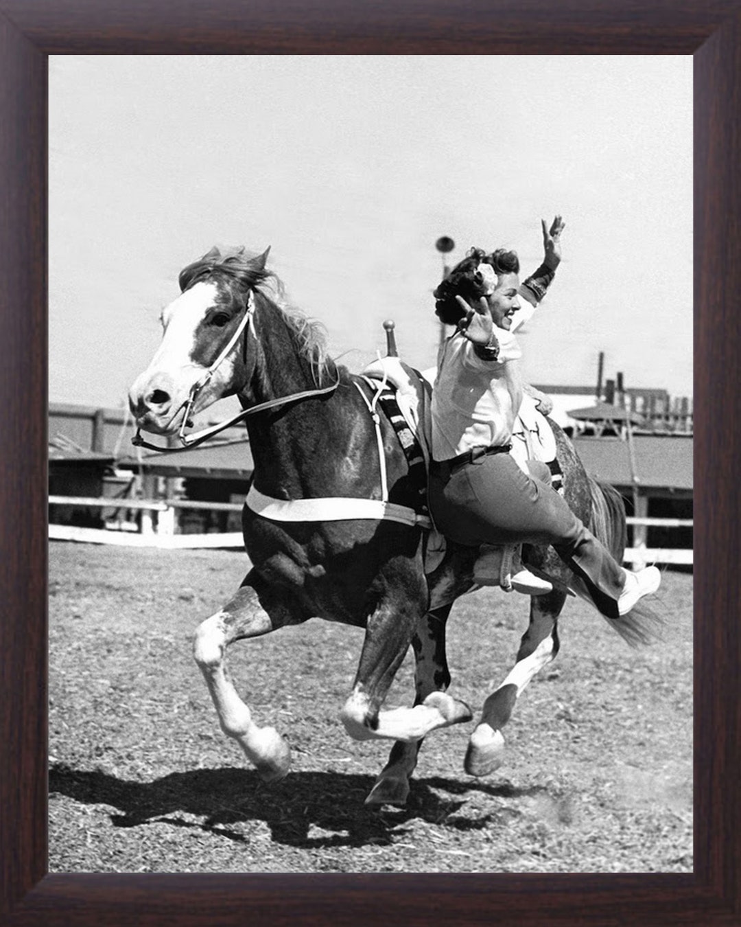 Trick Rider Rodeo Cowgirl Framed Photo Pirnt, Western 8 X 10 Photo Old ...