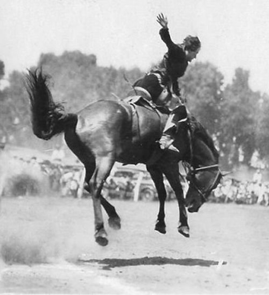 Rodeo COWGIRL Bronc Riding 8 X10 Photo - Etsy