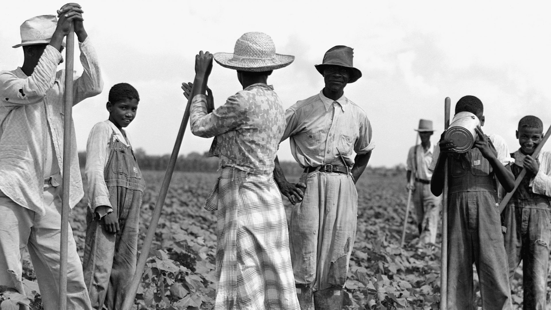 African American Slaves Working