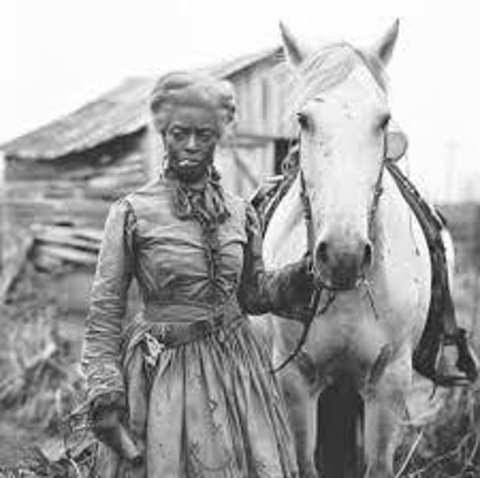 Black Cowboy Women 1885 8 X10 Photo African American Wall Art Black ...