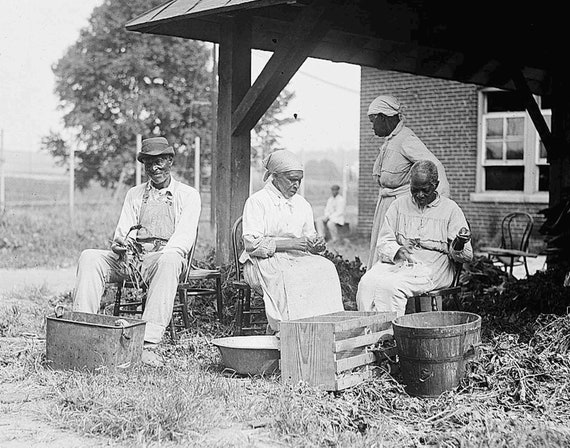 Civil War Slaves Working