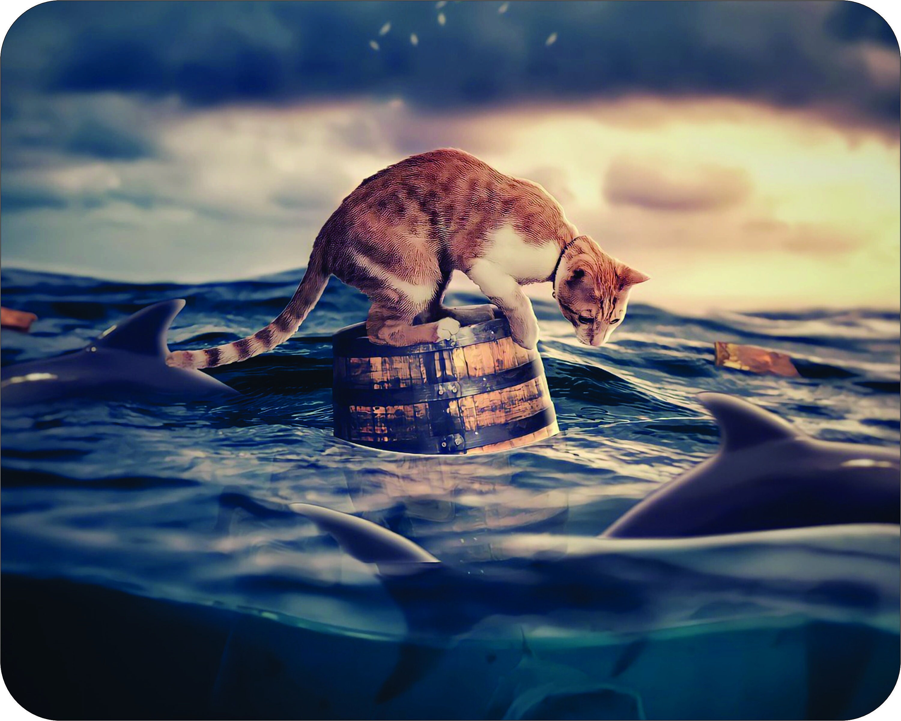 A Cat Stalking A Shark Cut Fun AI Drawing Mouse Pad Photo Mousepads ...