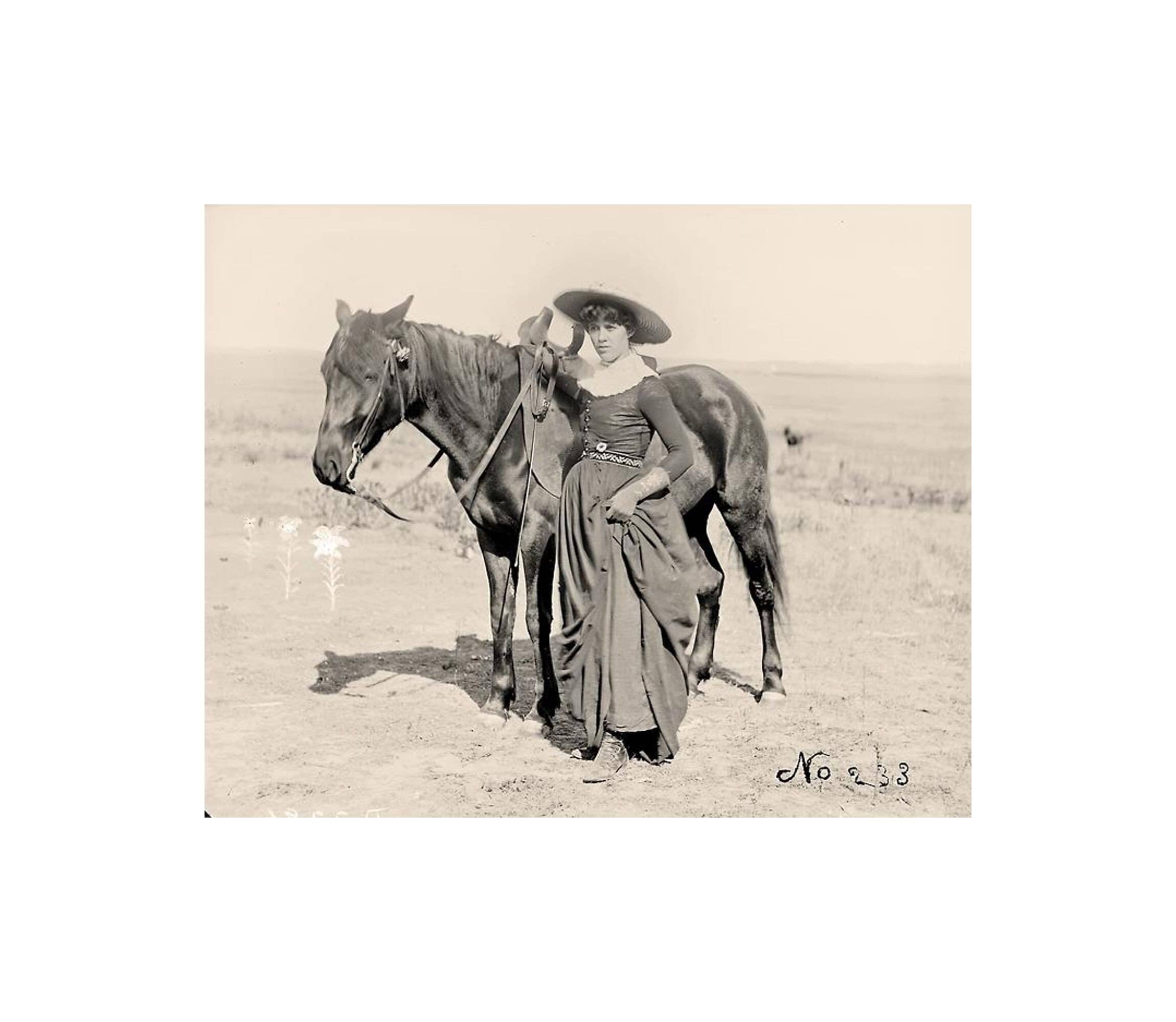 1880 Cowgirl 8 X10 Photo Old West Fashion Rodeo Bull Riding Broncs ...