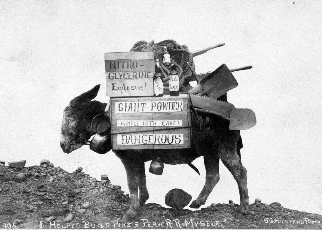 8 X 10 Photo Pike's Peak Railroad Mule 1890 the Old West - Etsy