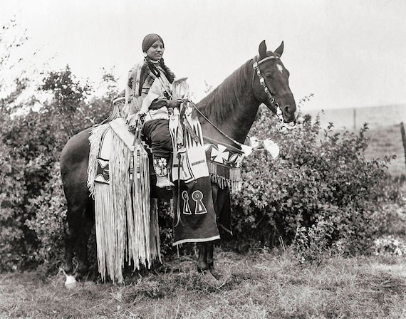 Indiaans Amerikaans Paard