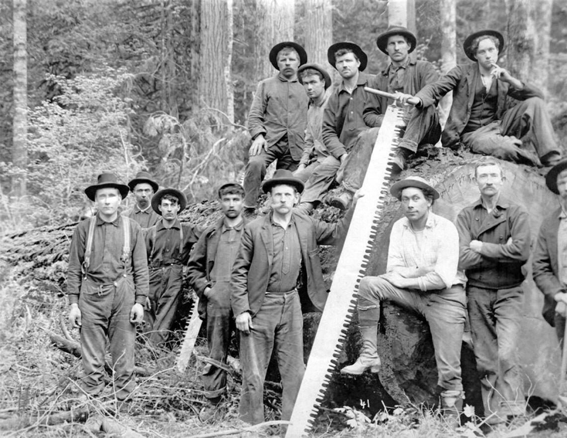 1900 Loggers With Saw, Lumber Jacks 8 X 10 Photo Color or Black and ...