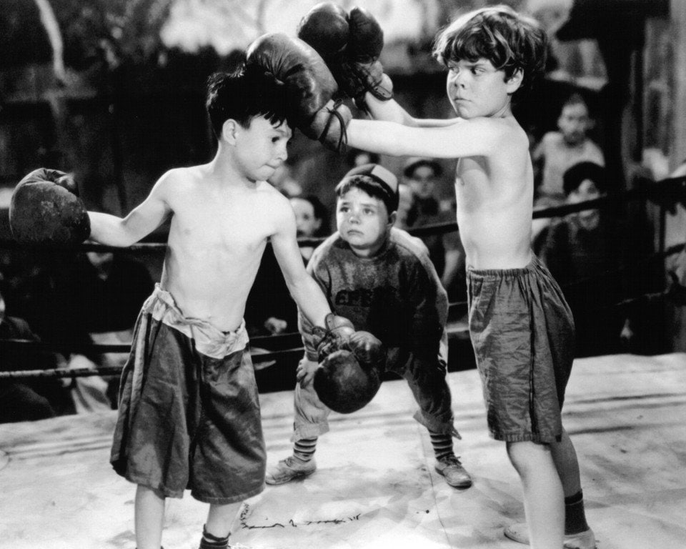 Alfalfa Boxing Match Our Gang Comedy Little Rascals 8 X10 Photo 2 ...