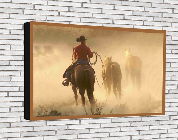 Montana Wild Horse Roundup