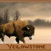 Yellowstone National Park Wilderness Art Prints 12 X 18 Painting ...