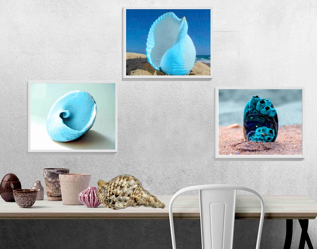 Set of 3 Seashell Oceanside Wall Art Prints Poster Canvas Wrap, Framed ...