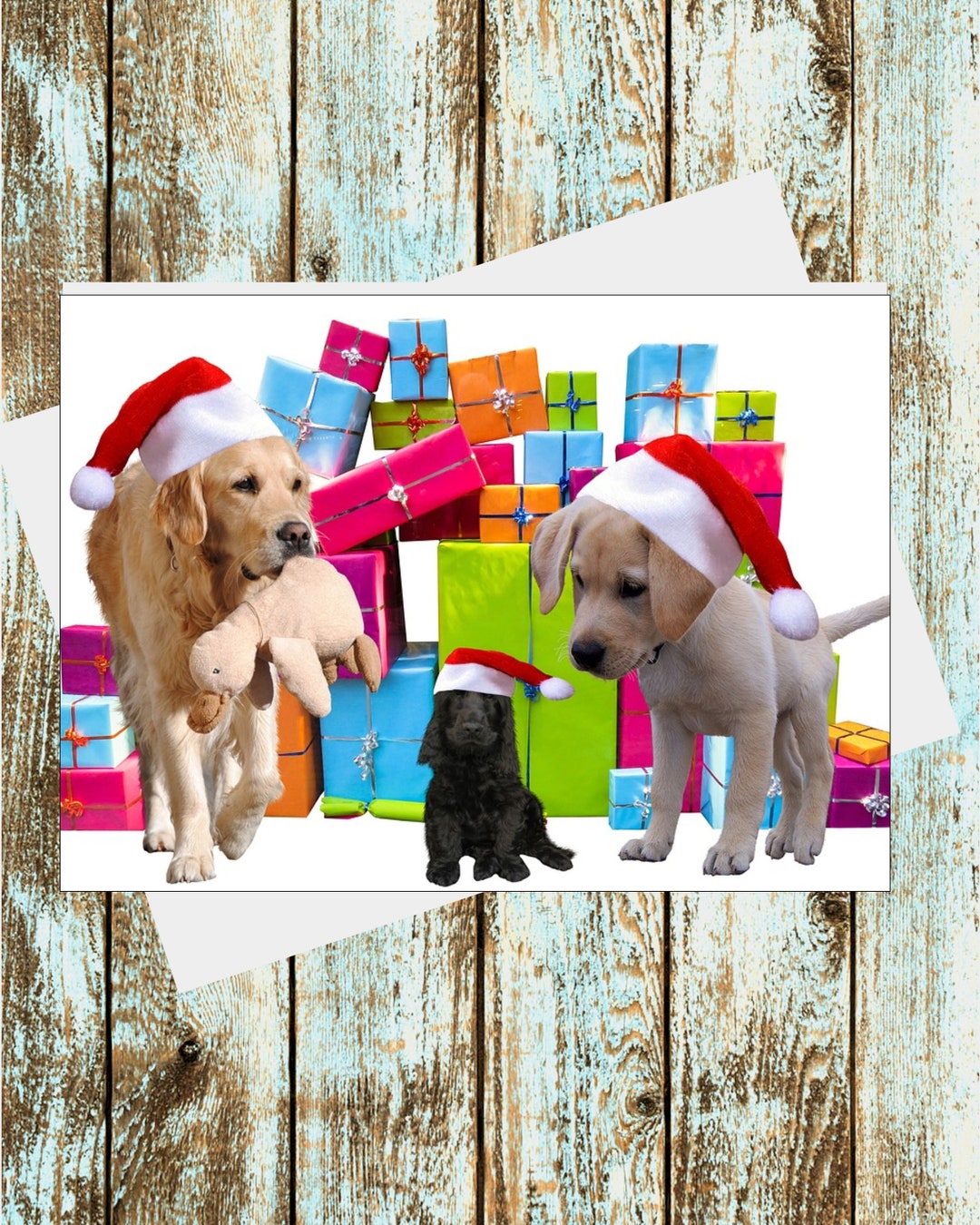 Buy 2 Get 1 Freeset of 6 Greeting Cards Happy Christmas Dogs 5 X 7 ...