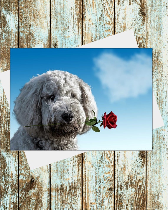 Dog and a Rose Art Set of 6 Greeting Cards 5 X 7 Inches Inside - Etsy