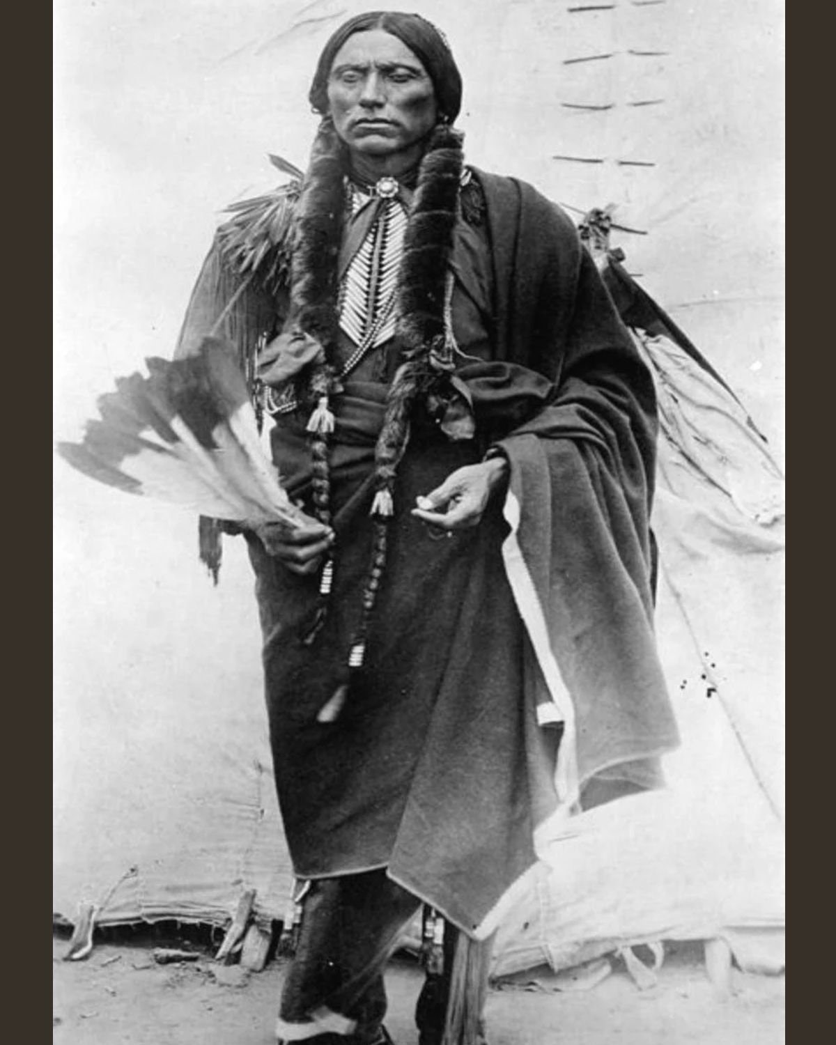 11 X 14 Photo Chief Quanah Parker of the Kwahadi Comanche Native ...
