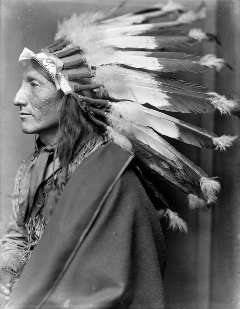 8 X 10 Photo CHIEF Whirling Horse, Sioux Indian, Native American Indian ...