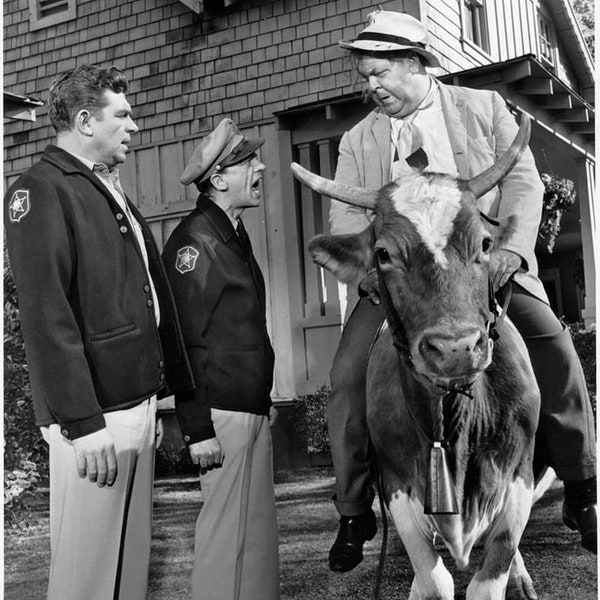 Andy Griffith Show - Etsy