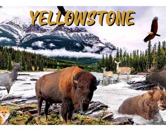 Wildlife License Plate - Etsy