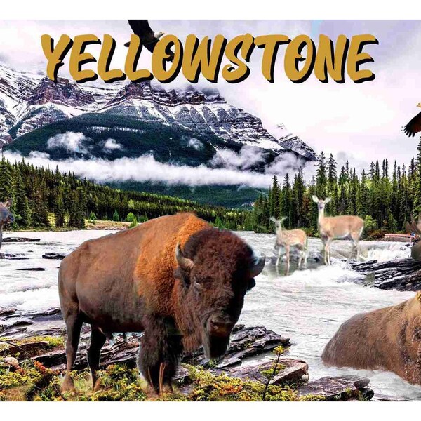 Yellowstone License Plate - Etsy