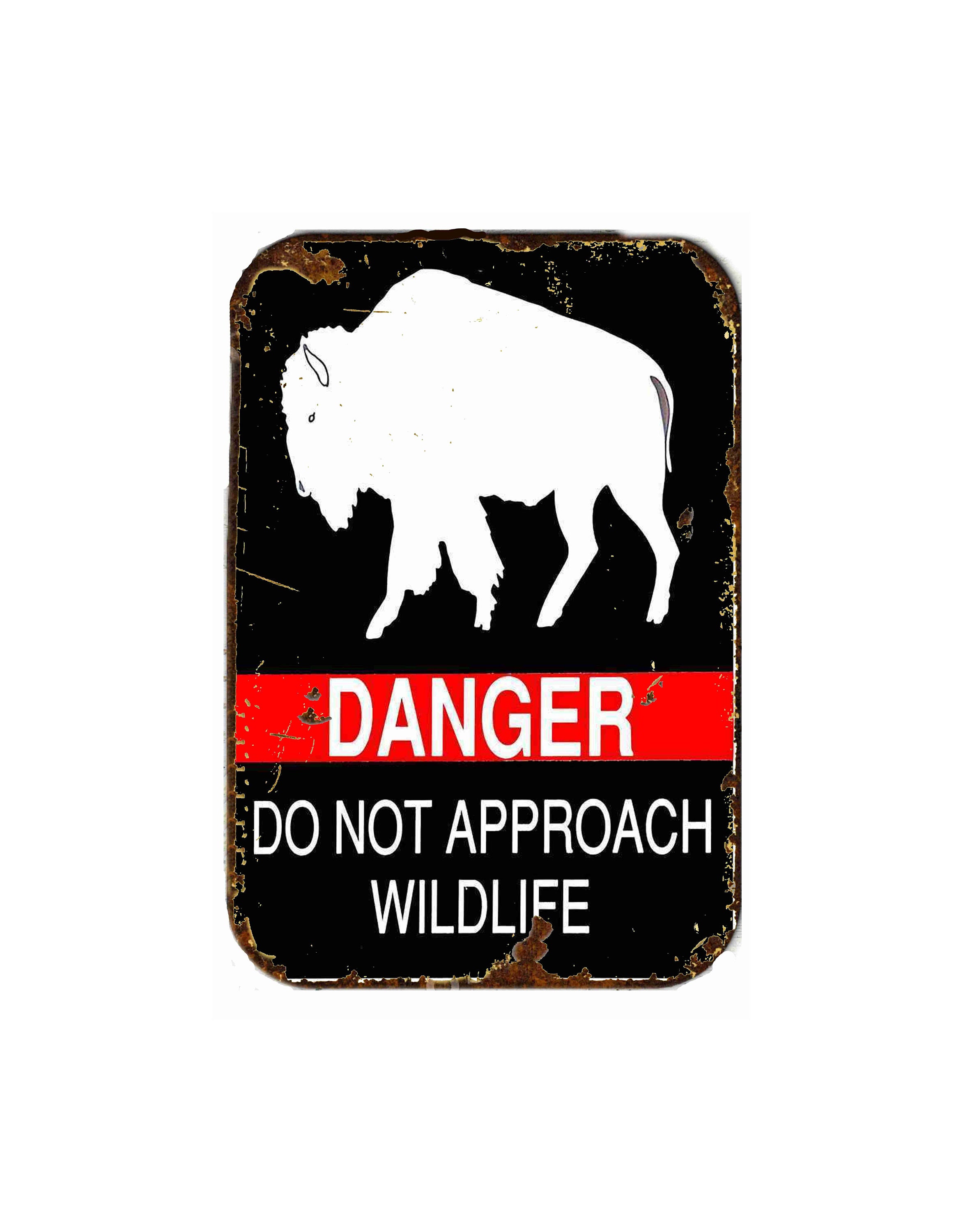 Danger Do Not Approach Wildlife Buffalo in Yellowstone Park 8 X 12 ...