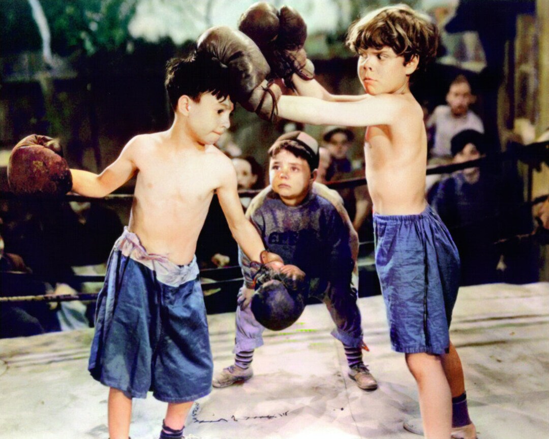 Boxing Match Little Rascals Our Gang Comedy 8 X 10 Photo - Etsy