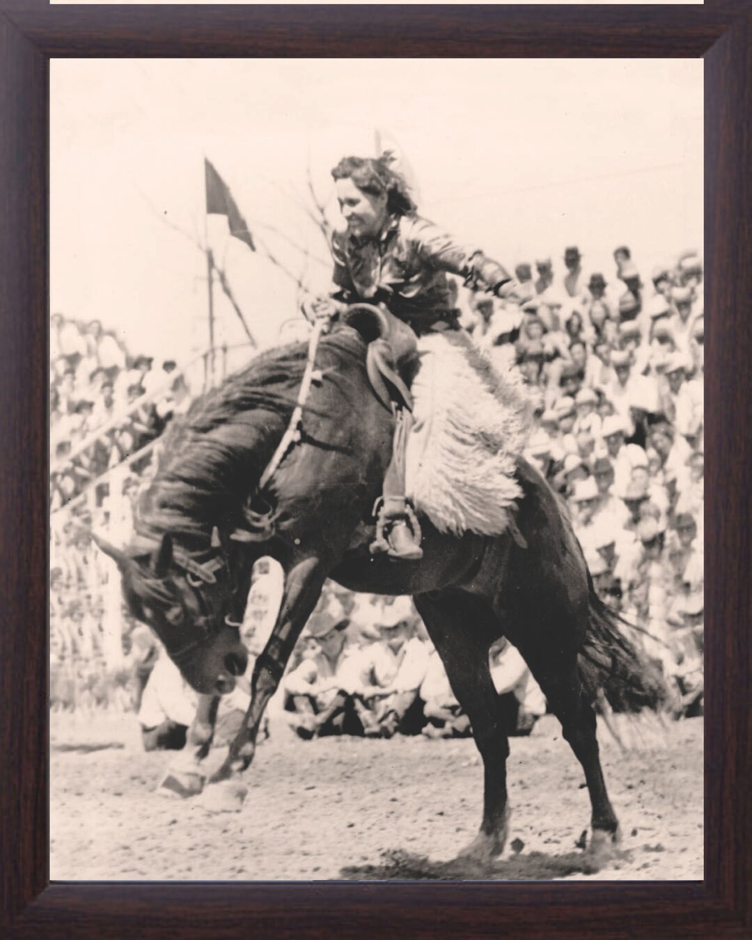 Bronc Ride Rodeo Cowgirls Framed Photo Pirnt, Western 8 X 10 Photo Old ...