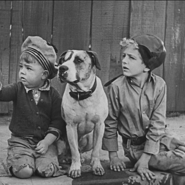 Dog Our Gang Comedies - Etsy