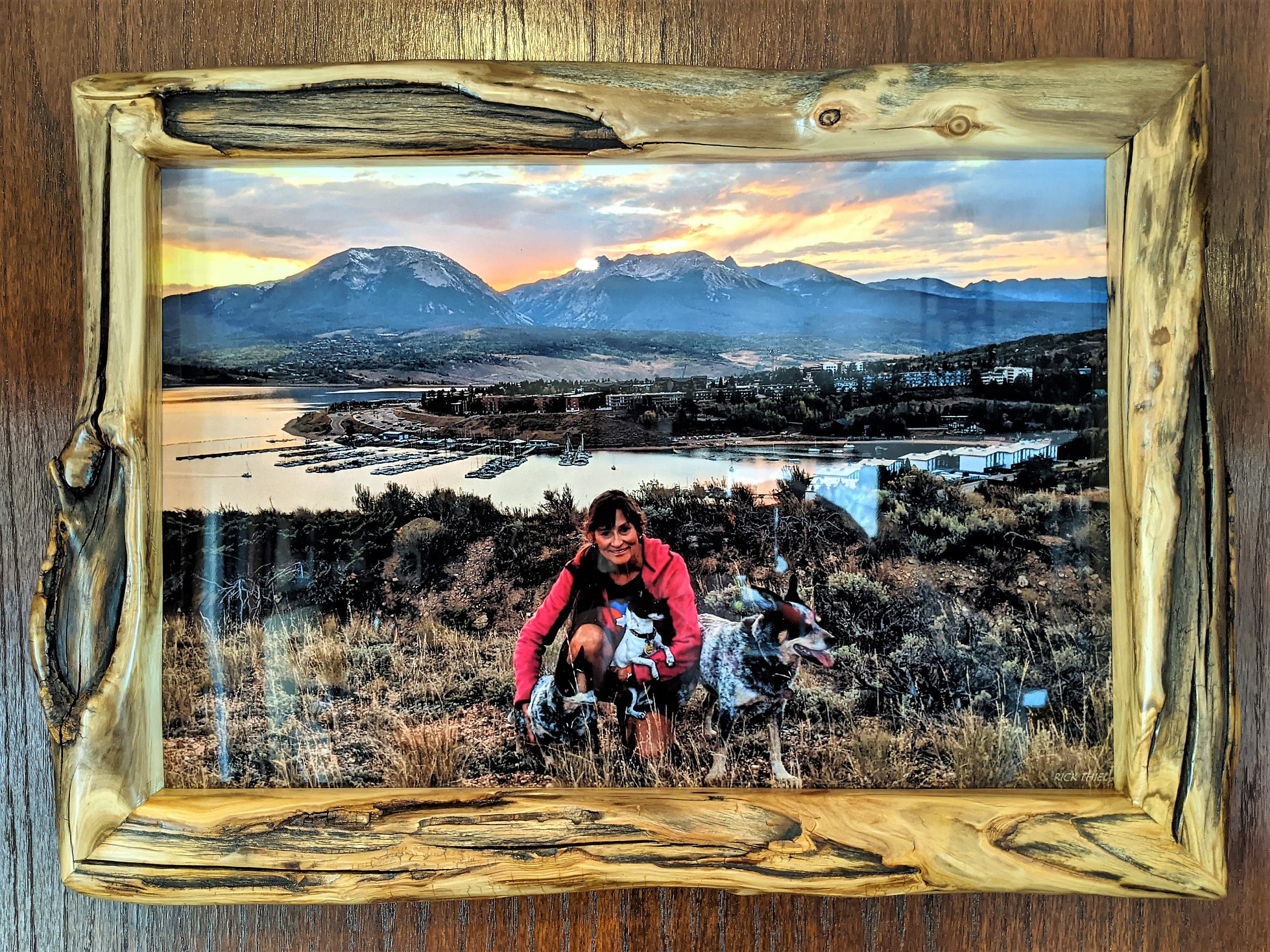 Colorado Aspen log picture frames. Custom rustic. Fine | Etsy