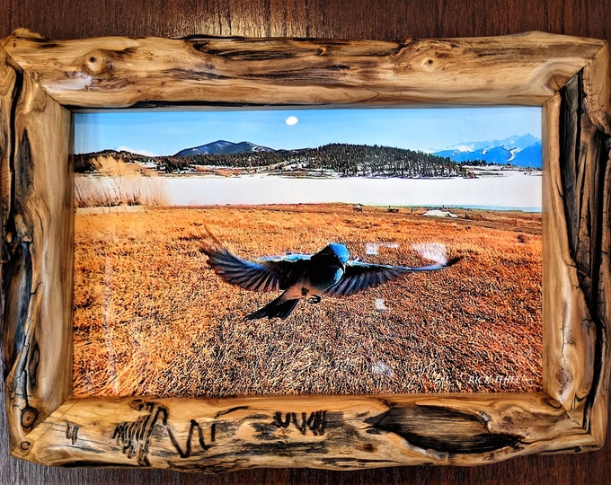 Colorado Aspen Log Picture Frames. Custom, Rustic. Fine Woodwork ...
