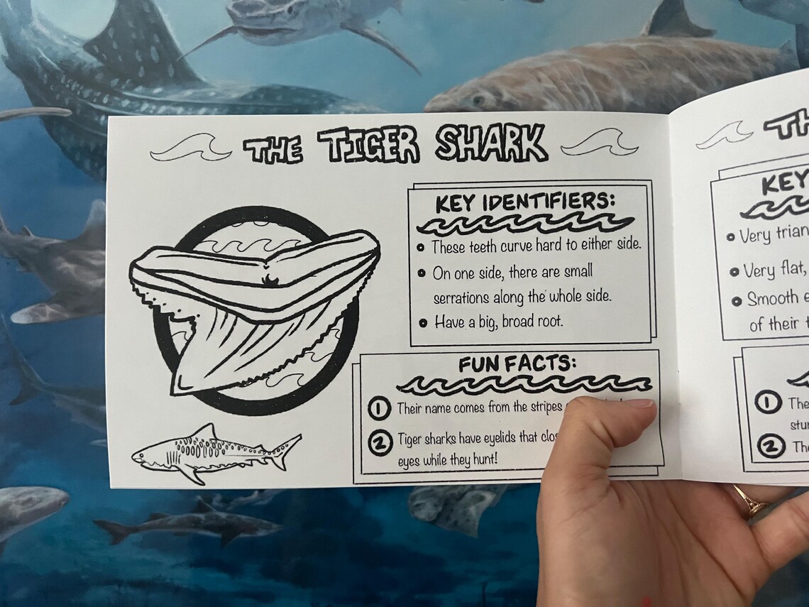 Fin-tastic Shark Tooth Coloring, Educational Coloring, Activity Book ...