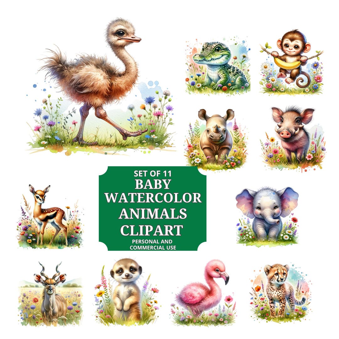 Baby Woodland Animals Clipart Bundle, Cute Nursery Art, Meerkat ...