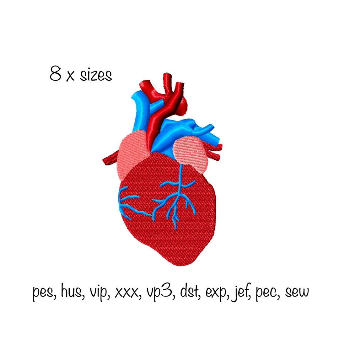 Digital Download 8 Sizes Anatomic Heart Organ Machine Embroidery Design ...